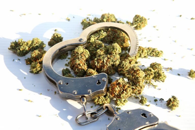 Texas Health & Safety Code 481.121: Possession of Marijuana (Overview ...